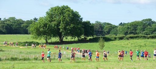 Event #334 21st June 2025 | Upton House parkrun