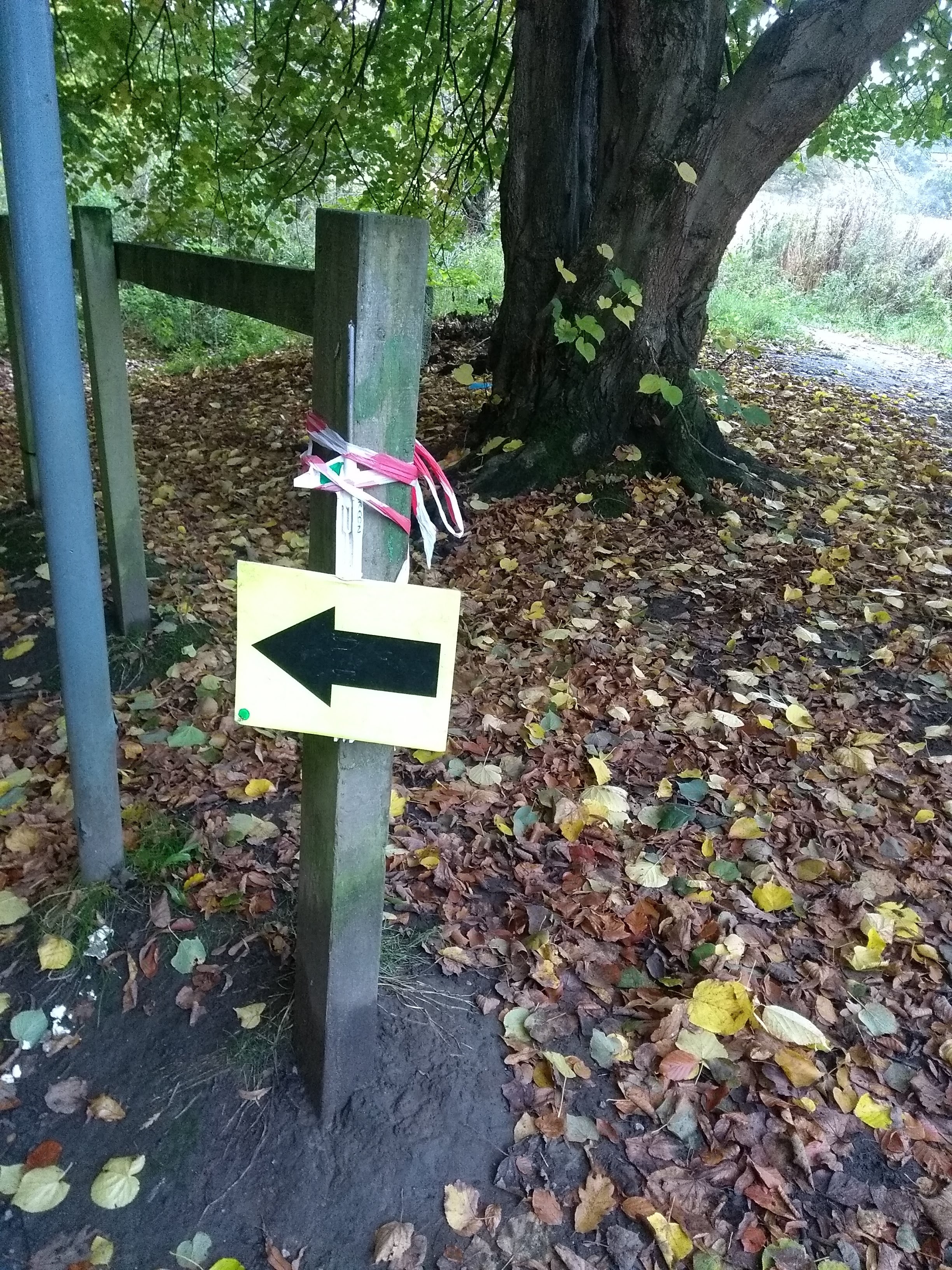 Alternative Winter Course | Marple parkrun