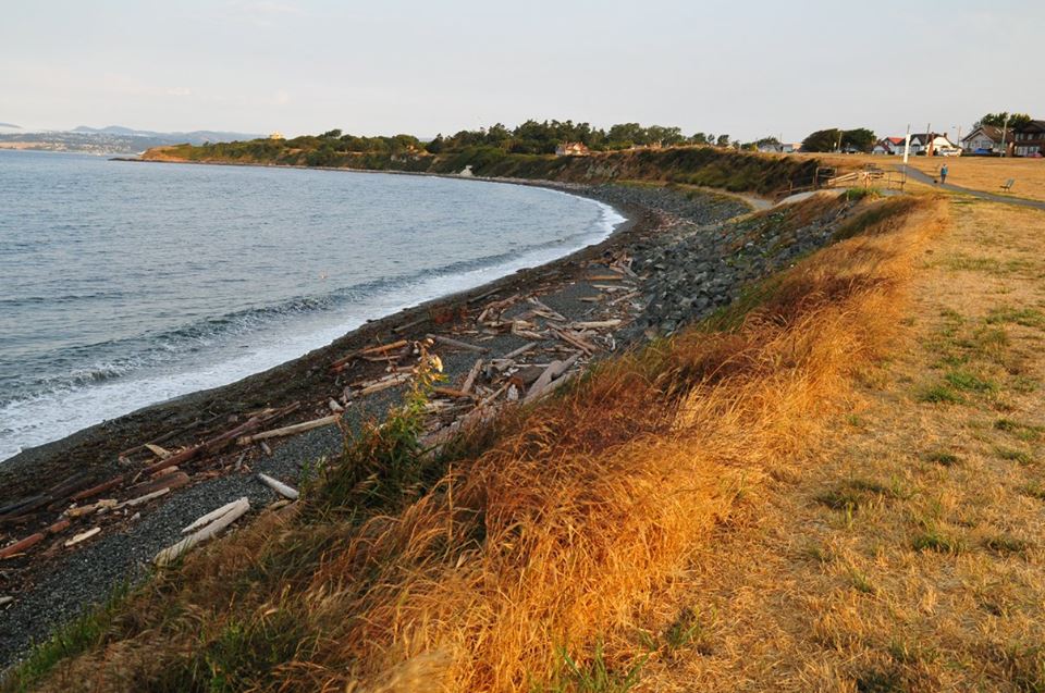 Clover Point parkrun Launch Report | Clover Point parkrun