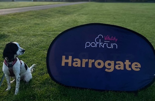 Harrogate parkrun Event #633 A Feast of Firsts, Fast Finishes, and Food ...