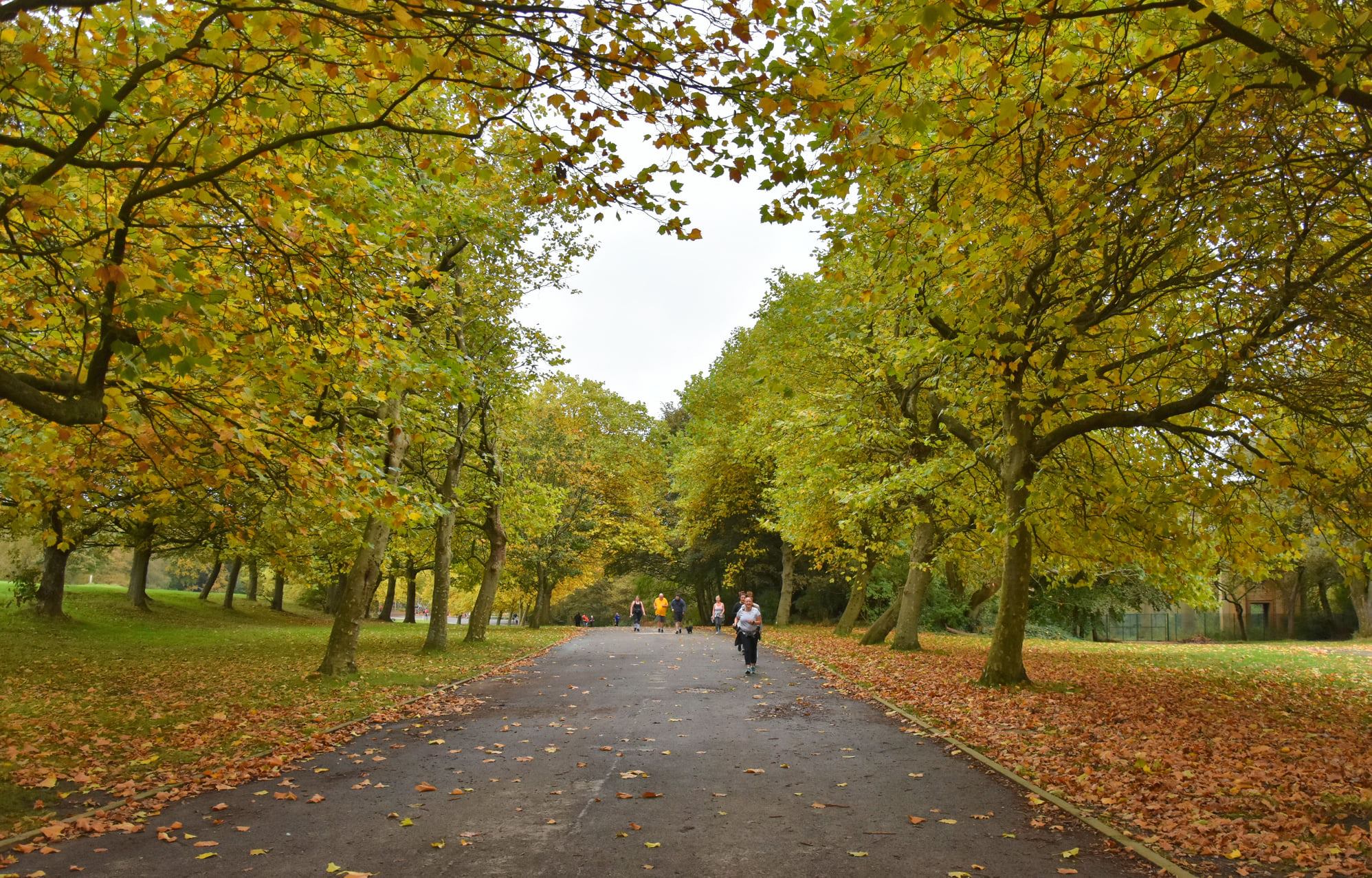 Double celebration for Anna and Alan | Heaton parkrun