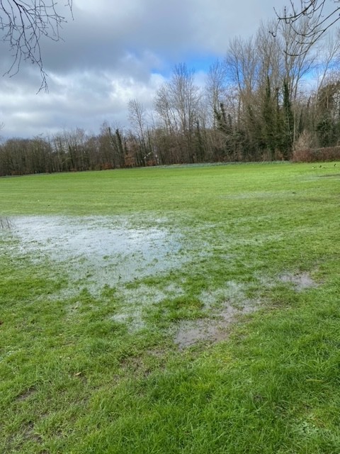 Run Report #257 – 2nd March 2024 | Corkagh parkrun