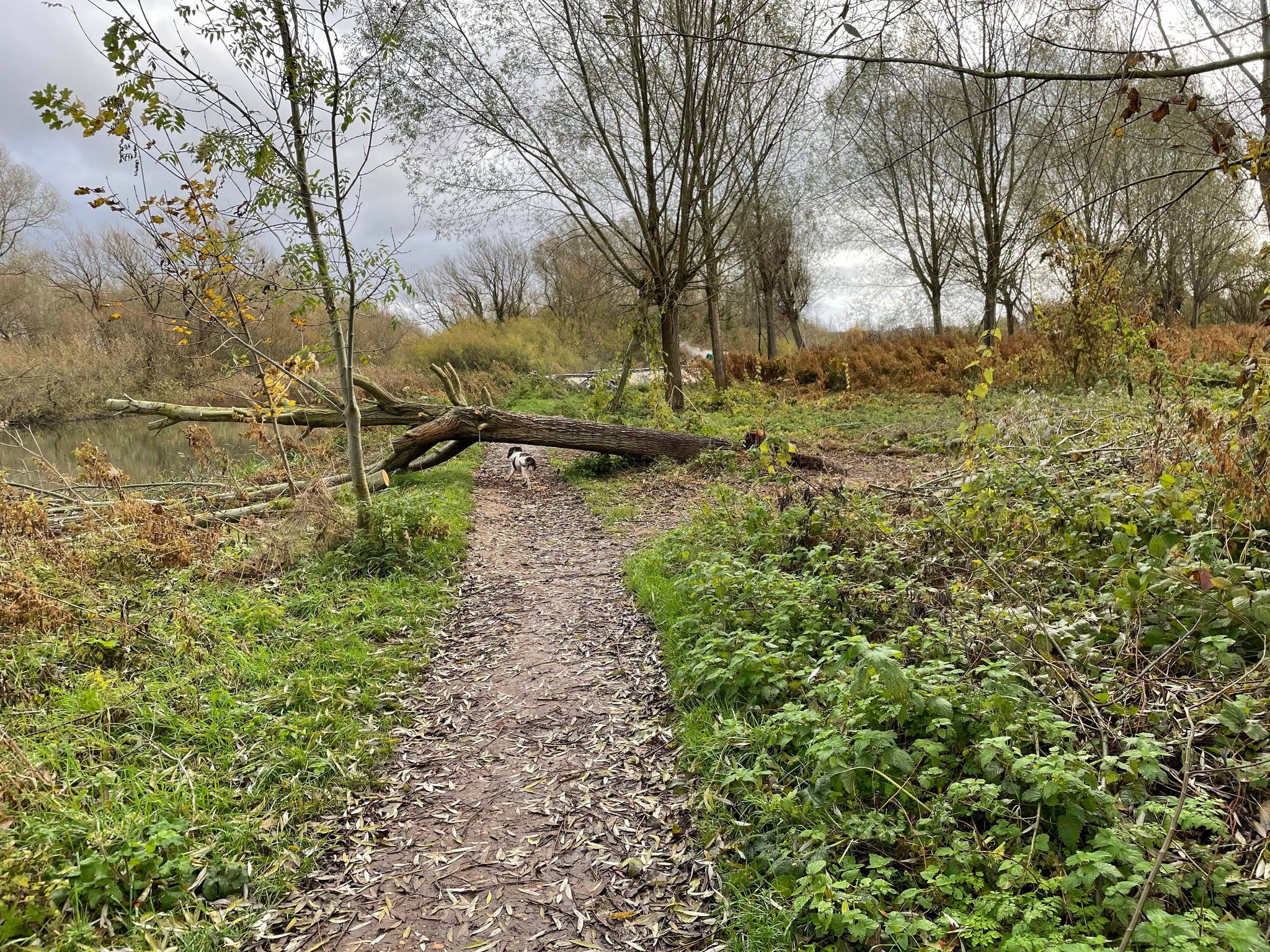 New Year’s Day parkrun | Abingdon parkrun
