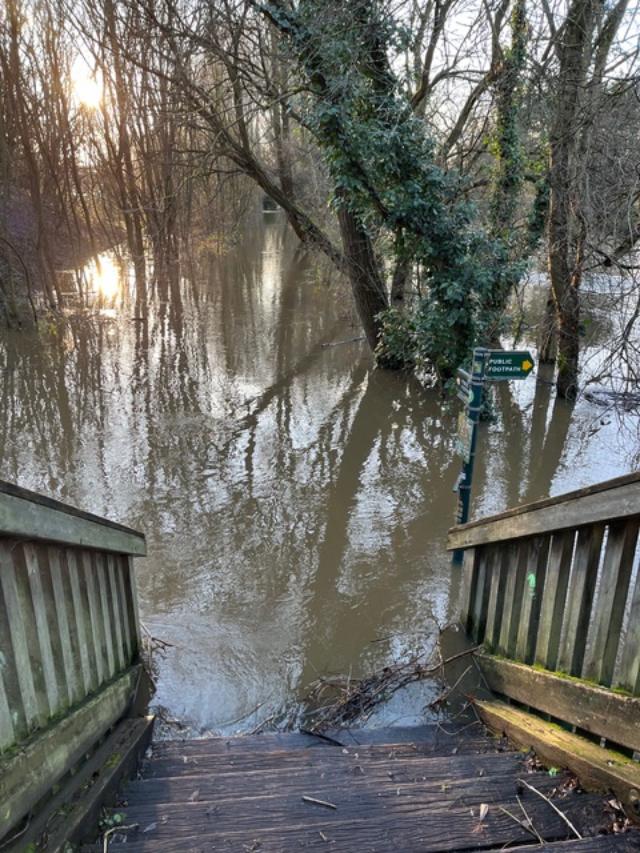 news | Alice Holt parkrun