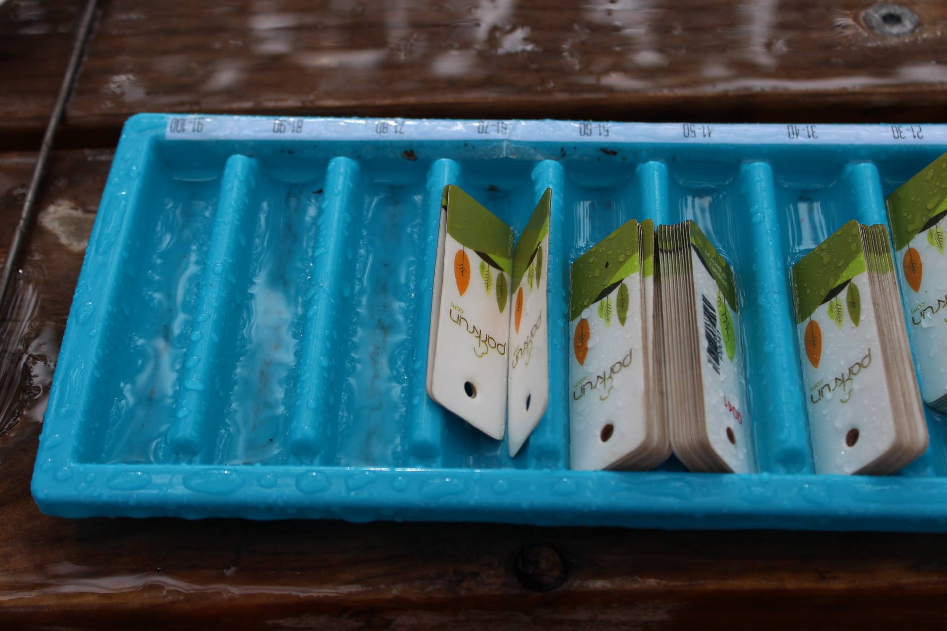 Bannockburn Bush parkrun Event number 70 | Bannockburn Bush parkrun