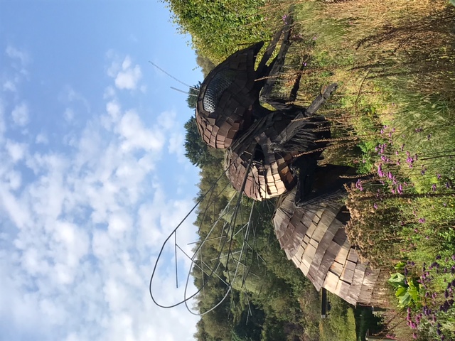 news | Eden Project parkrun