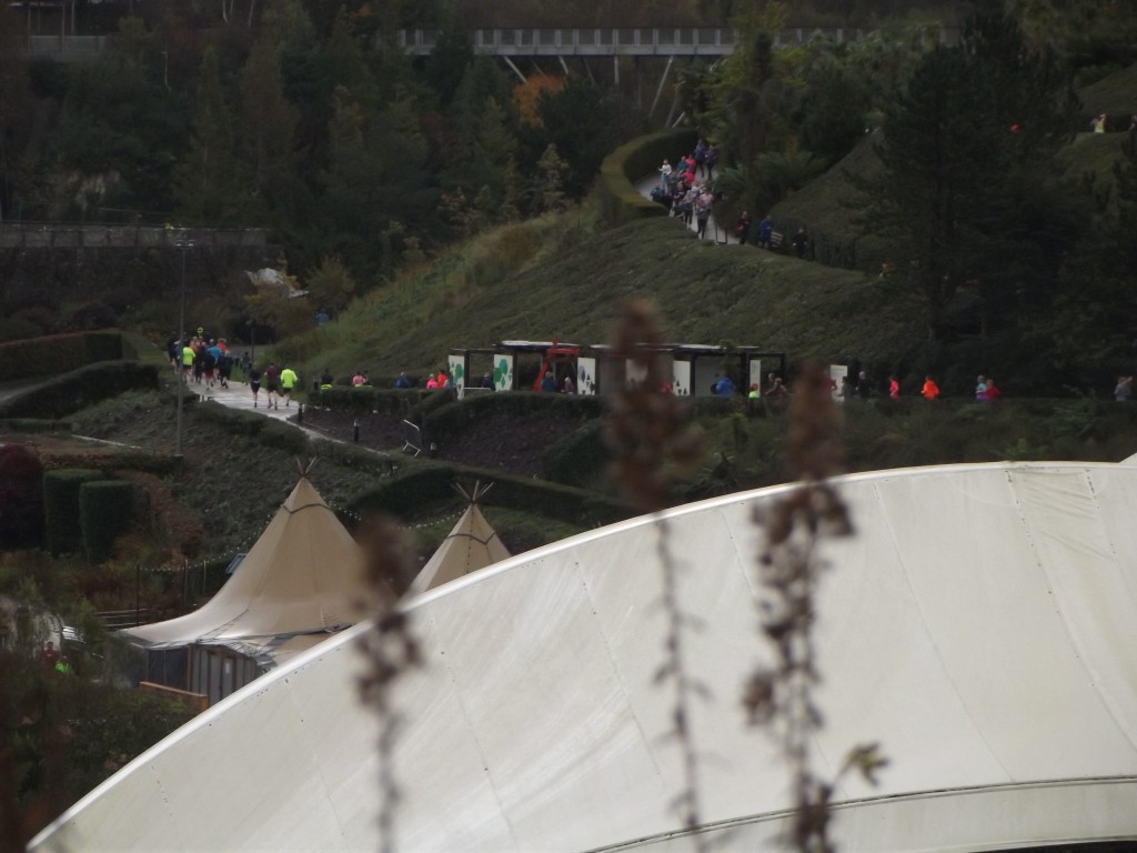 news | Eden Project parkrun