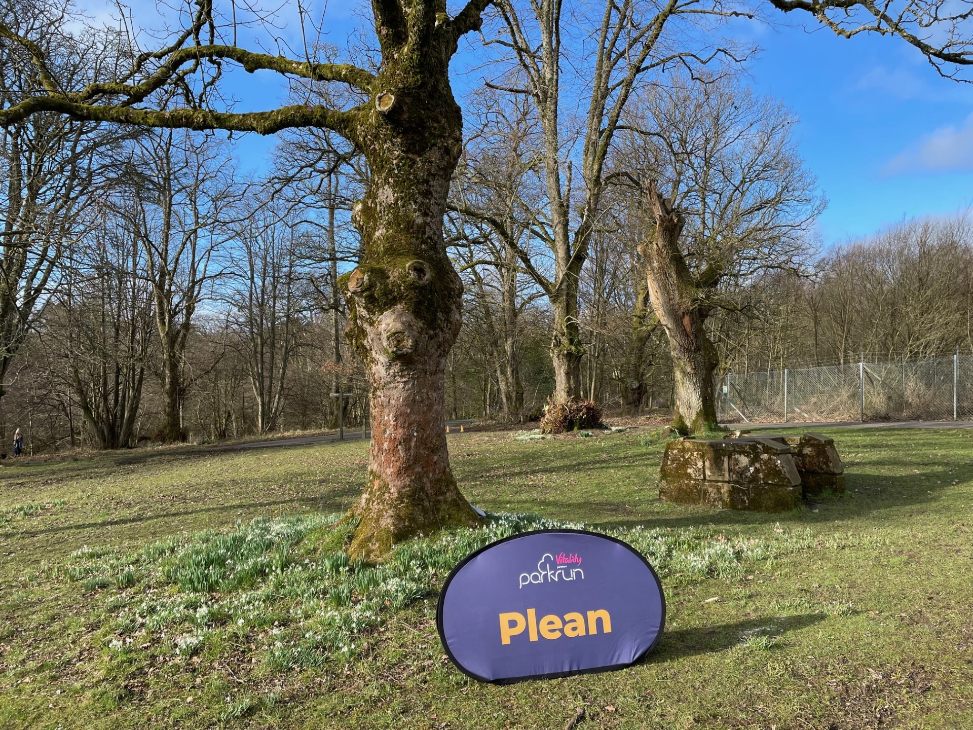 Spring has definitely Sprung! | Plean parkrun