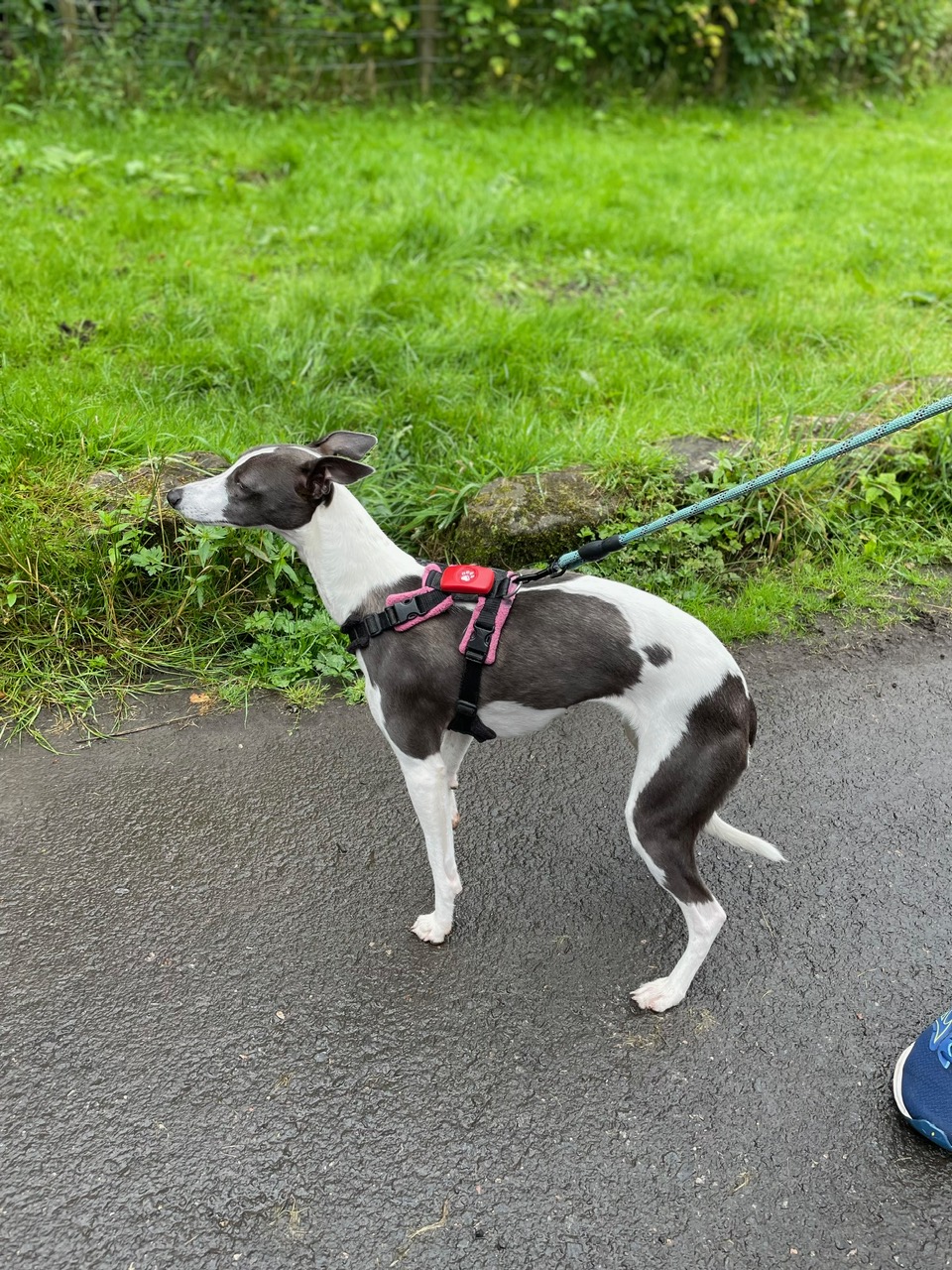 Plean parkrun – a visitors perspective | Plean parkrun