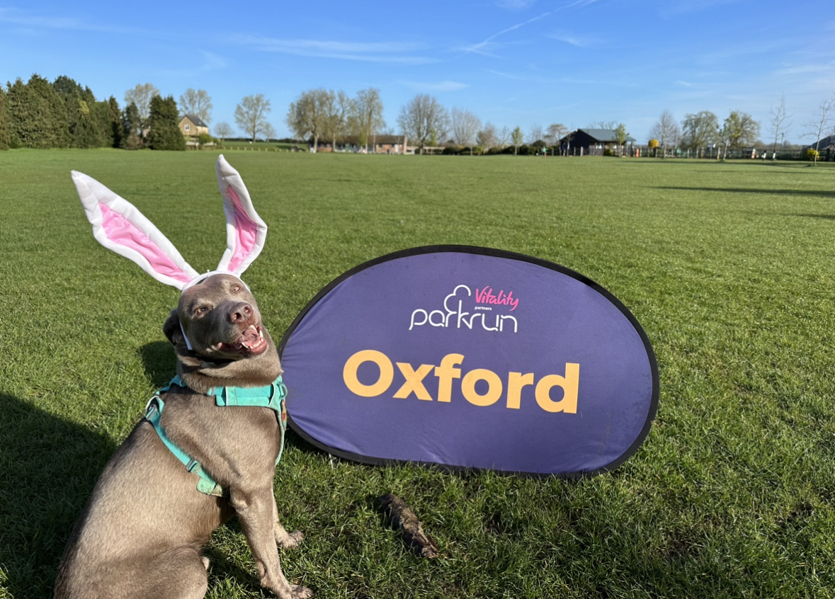 Oxford parkrun #560 | Oxford parkrun