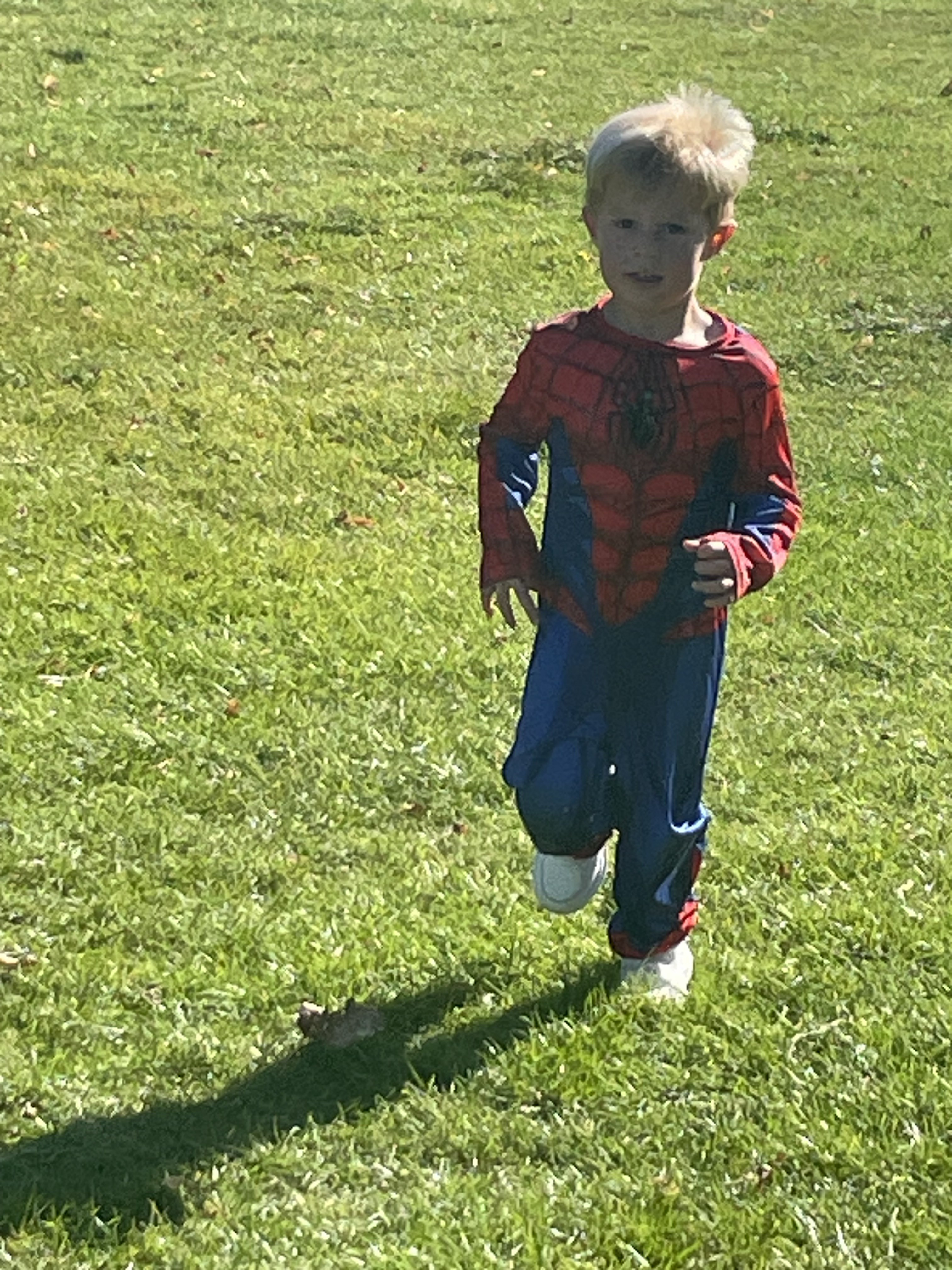 250 and going strong! | Reigate Priory junior parkrun