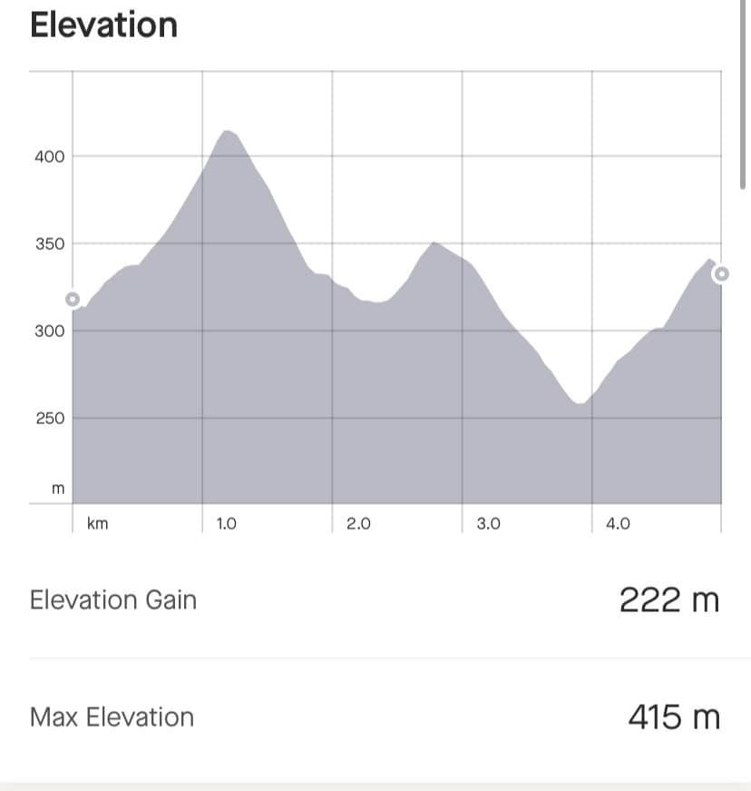 Run Report Event #229 | Whinlatter Forest parkrun