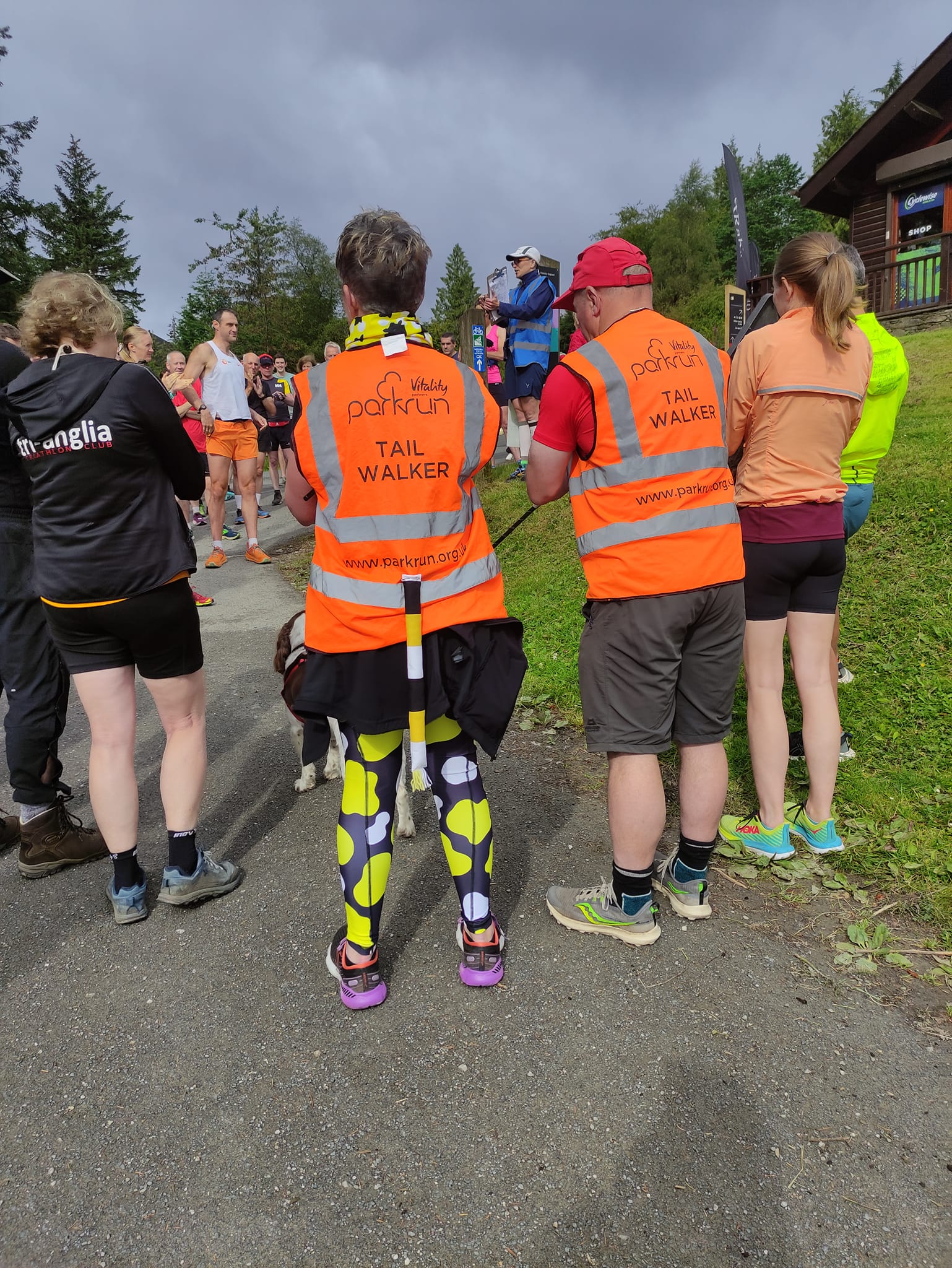 Run Report Event #250 | Whinlatter Forest parkrun