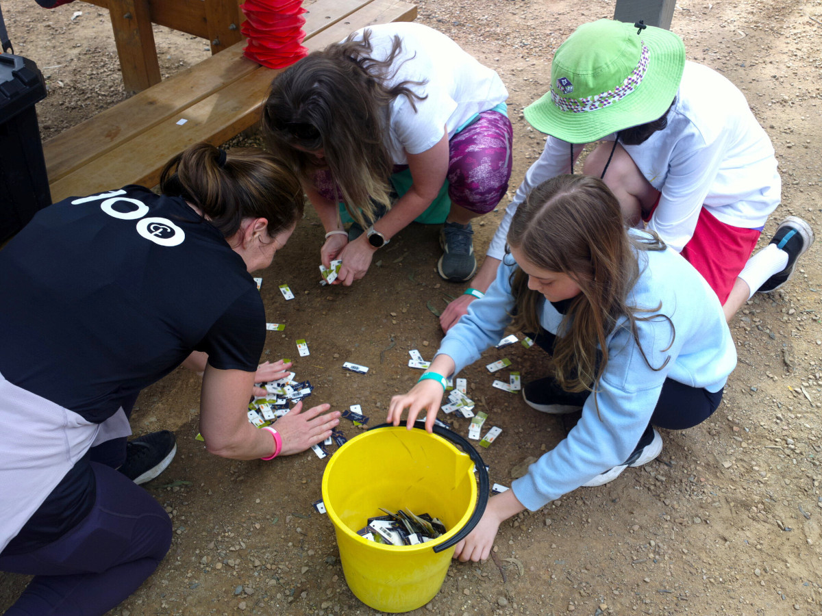 Event 183: 26 November 2022 | Gardiners Creek parkrun