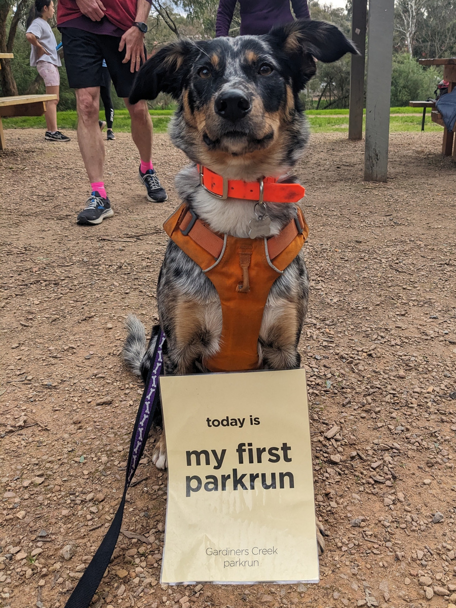 Event 217: 15 July 2023 | Gardiners Creek parkrun