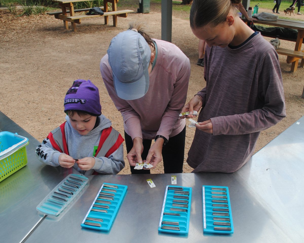 Event 233: 4 November 2023 | Gardiners Creek parkrun