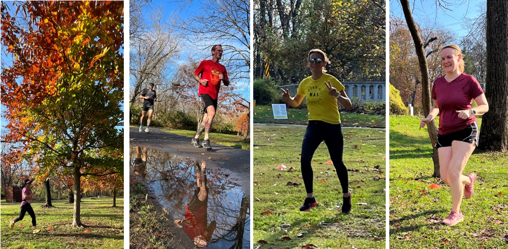 Kp #179 Around the world in 183 days (Kensington parkrunners circle the ...