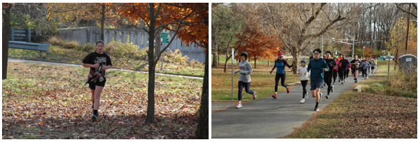 #236 More milestones and a volunteer record | Kensington parkrun