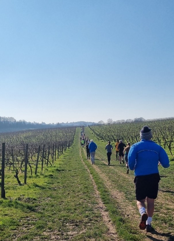 By the Numbers – #144 | Mole Valley parkrun