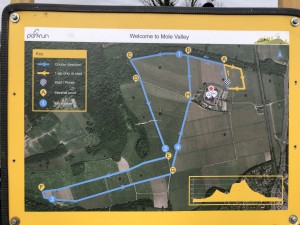 news | Mole Valley parkrun