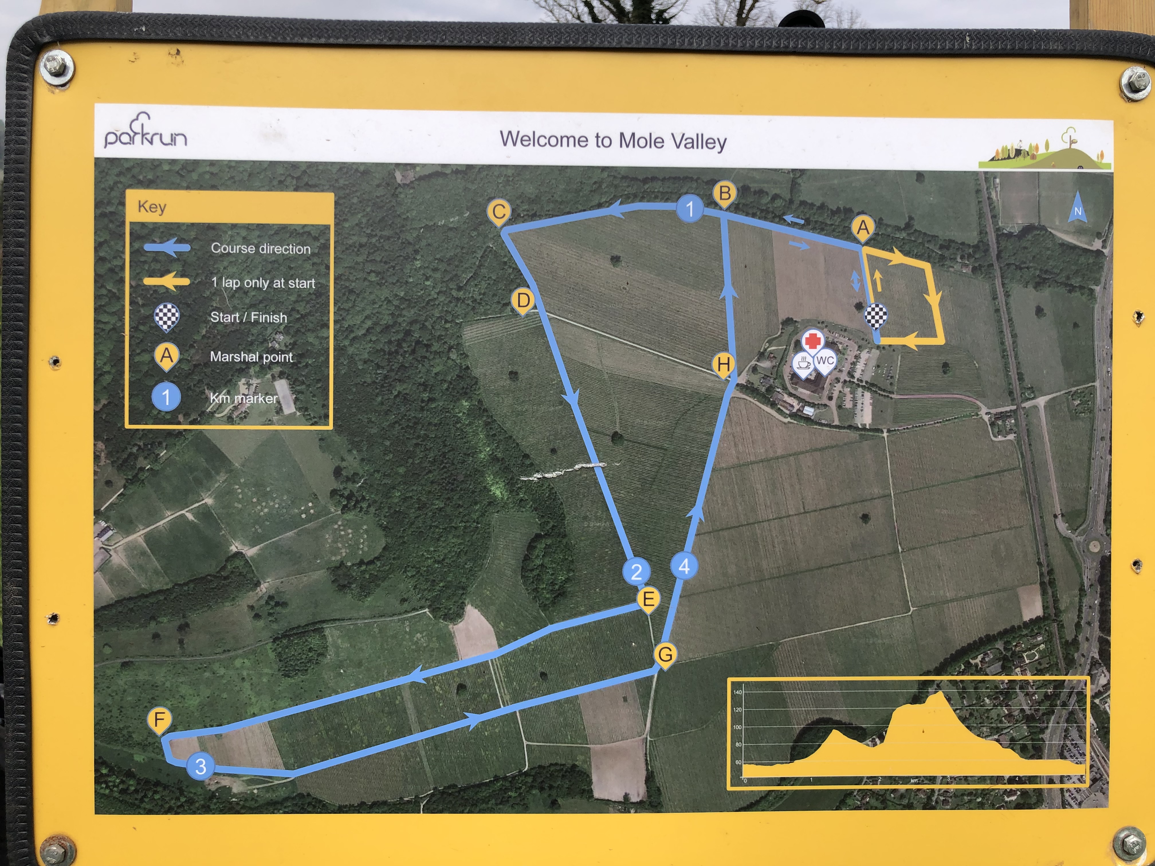 Mole Valley parkrun #202 – milestone management magic! | Mole Valley ...