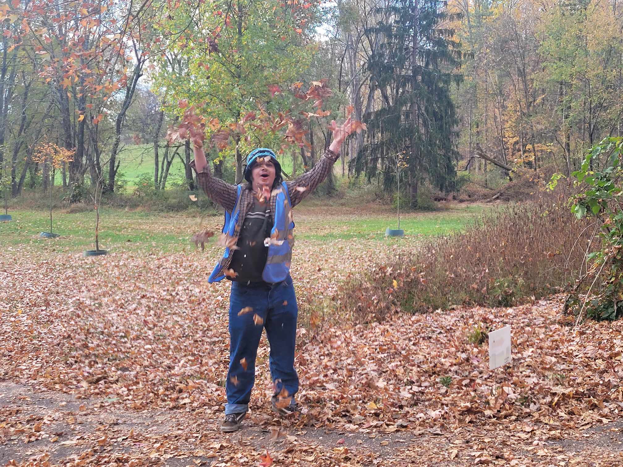 Joe Creason #211 – The Fall Foliage Edition | Joe Creason parkrun