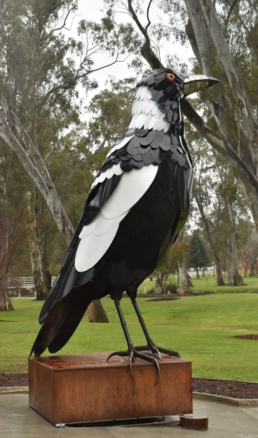 Euroa parkrun RUN REPORT Event 190 | Euroa parkrun