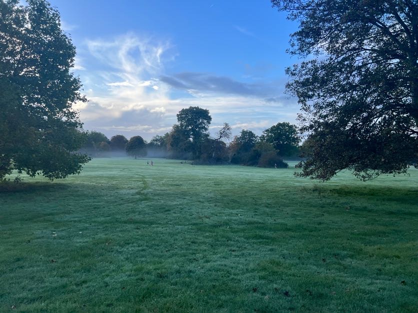 Prospect parkrun #203 – Boo-tiful morning for a parkun! | Prospect parkrun