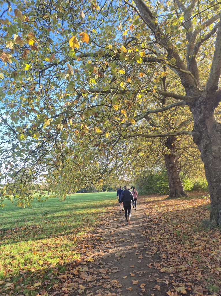 Prospect parkrun #306 – Sunshine and Milestones! | Prospect parkrun