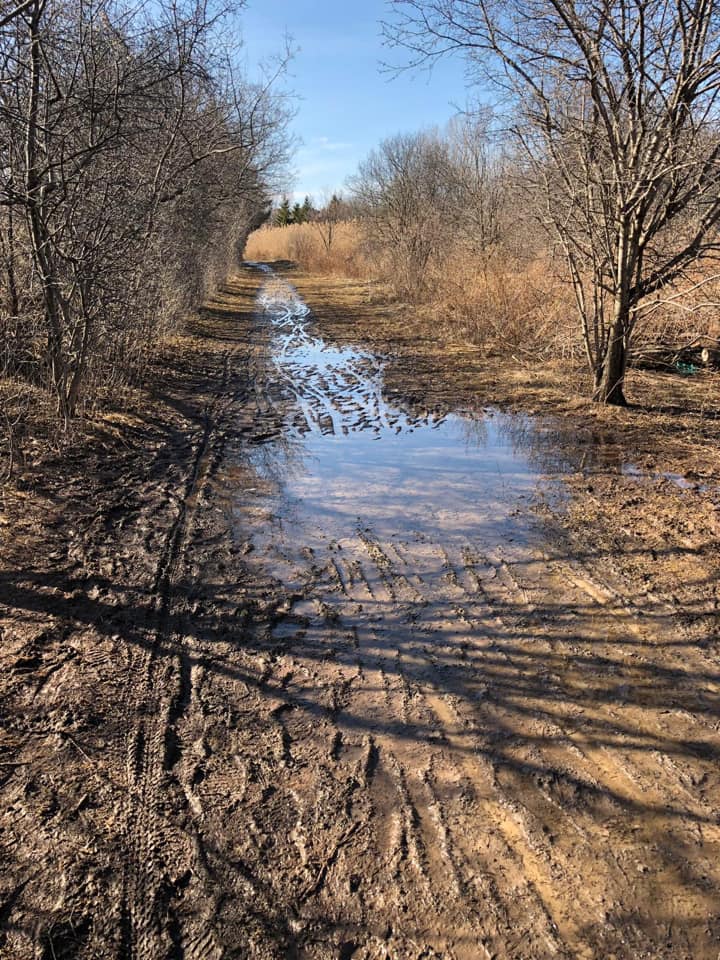 Finally, it’s spring! | River Oaks parkrun