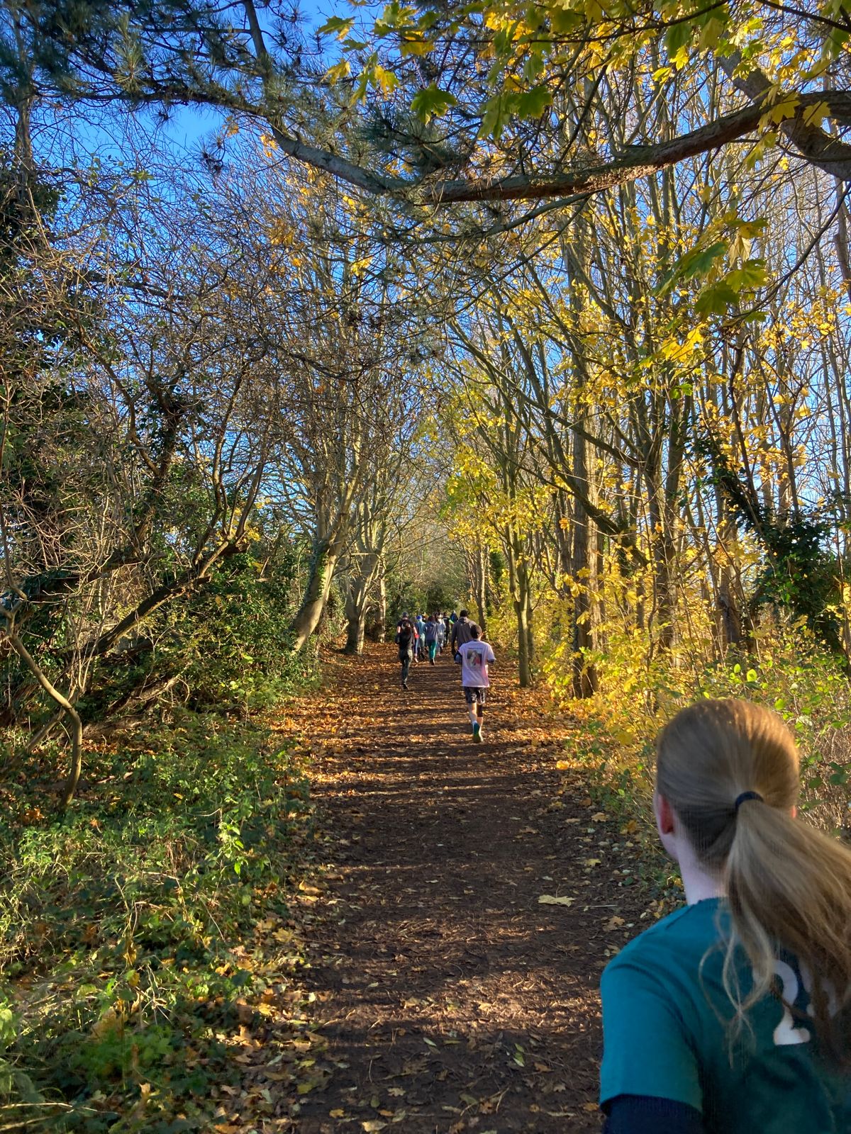Autumn in all its splendour – clear blue skies, bright sunshine and a ...