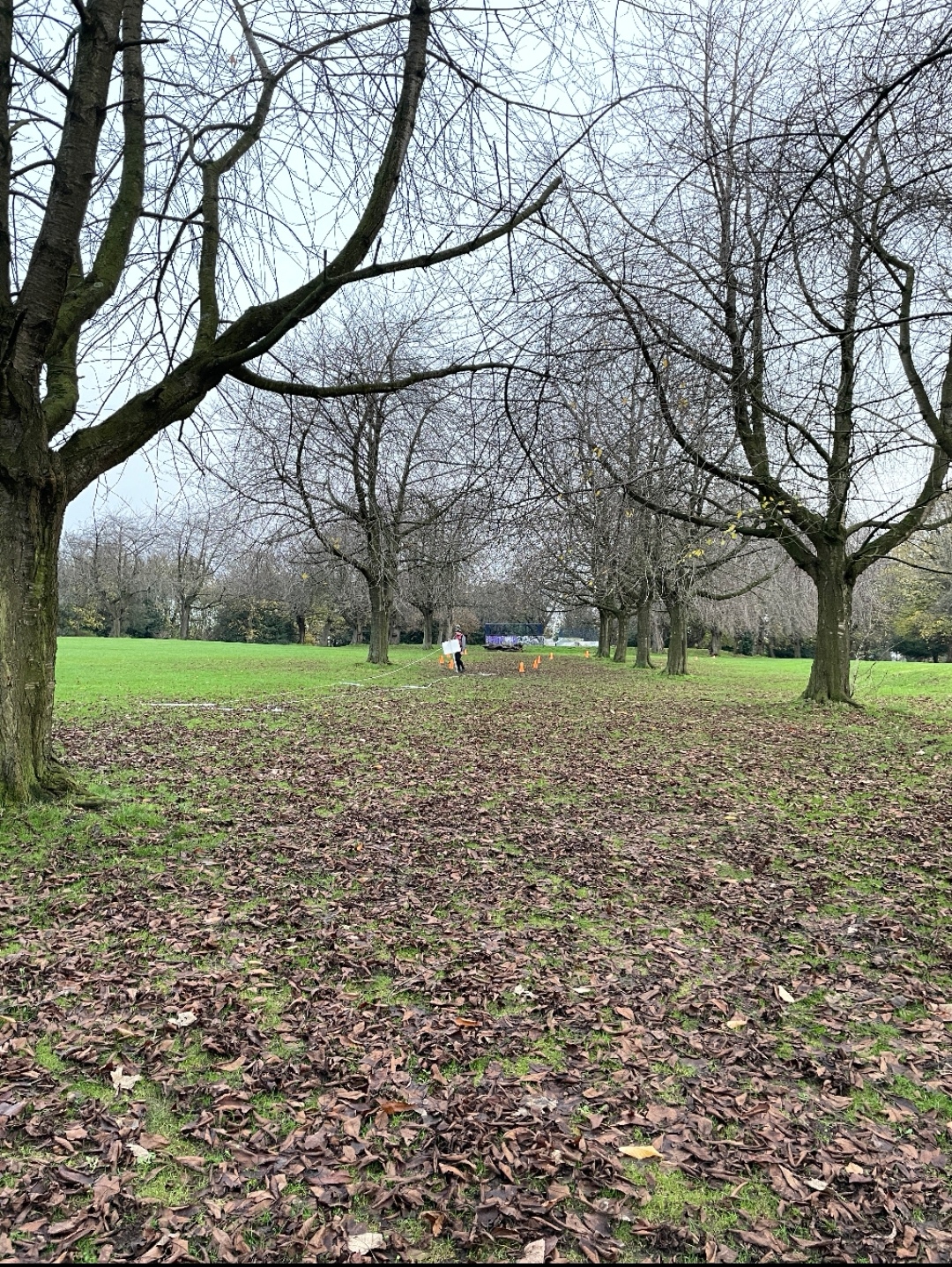 Run Report Poem by Cheddar tourist, Sorrel Langley – Hobbs | Armley parkrun