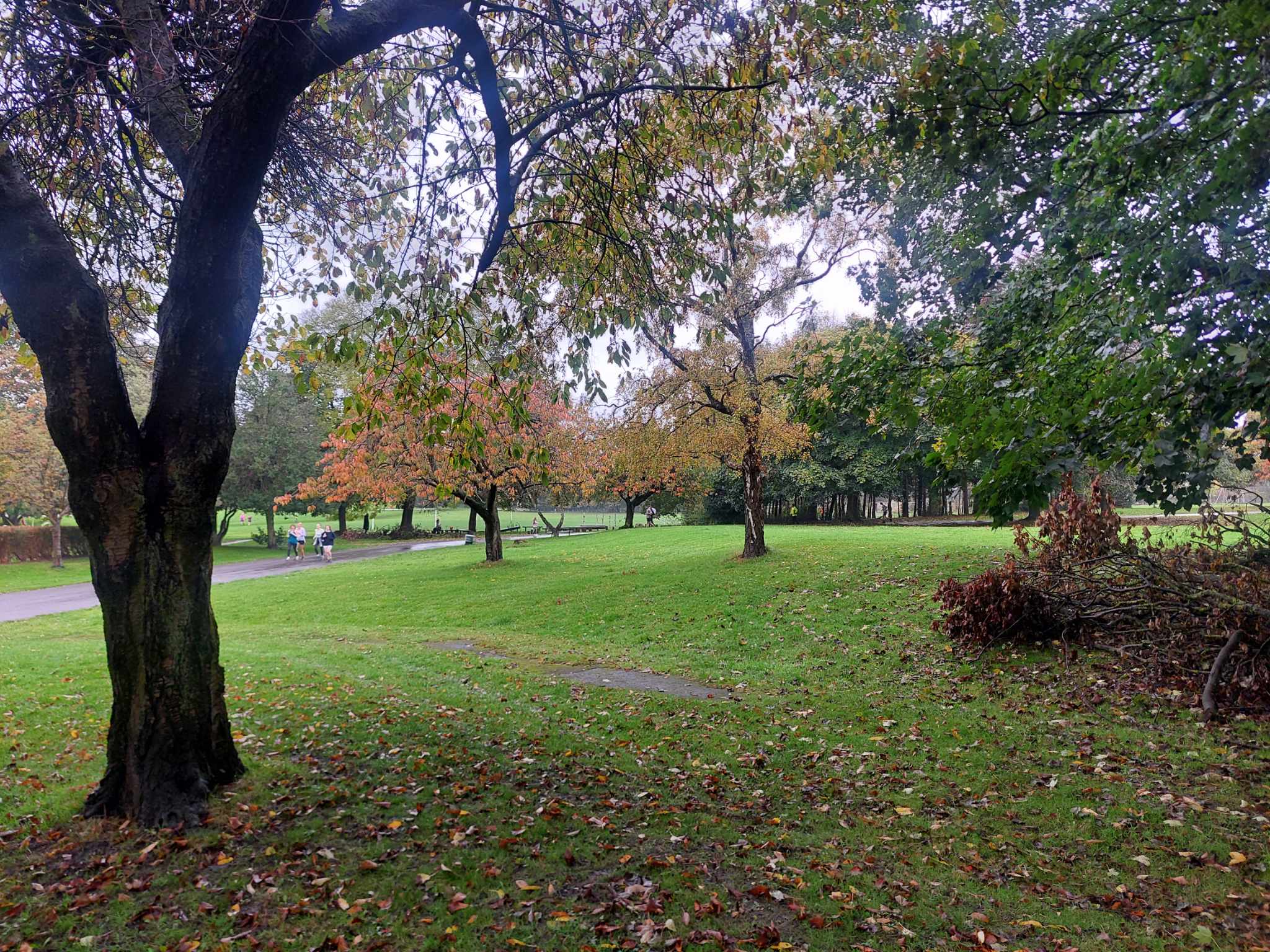 Run Report Armley parkrun No. 259 by Paul Brennan | Armley parkrun