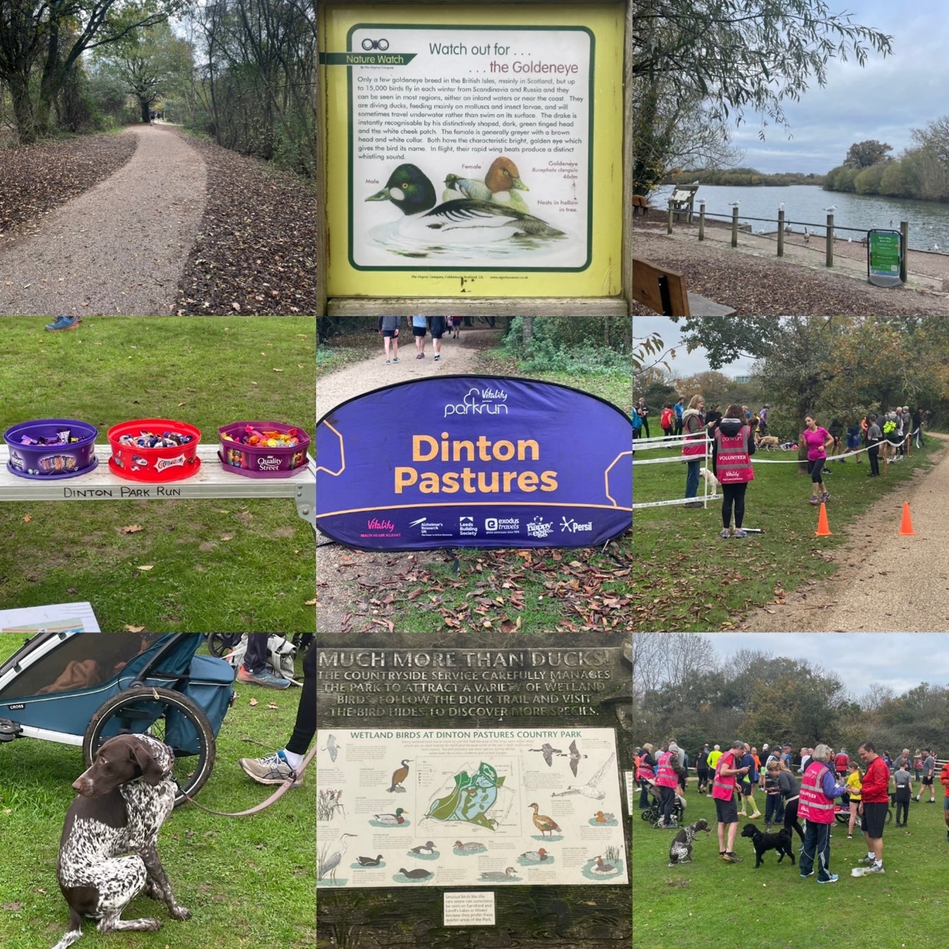 news | Dinton Pastures parkrun
