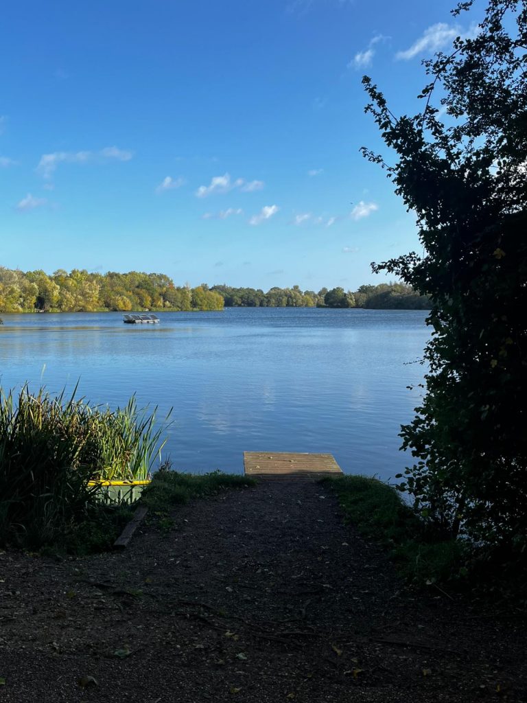 Dinton Pastures parkrun #313 report – 4th October 2025 | Dinton ...