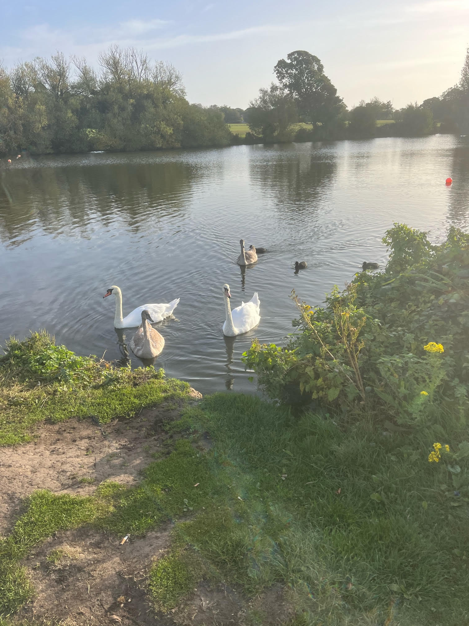 A warm October morning in Danson Park | Bexley parkrun