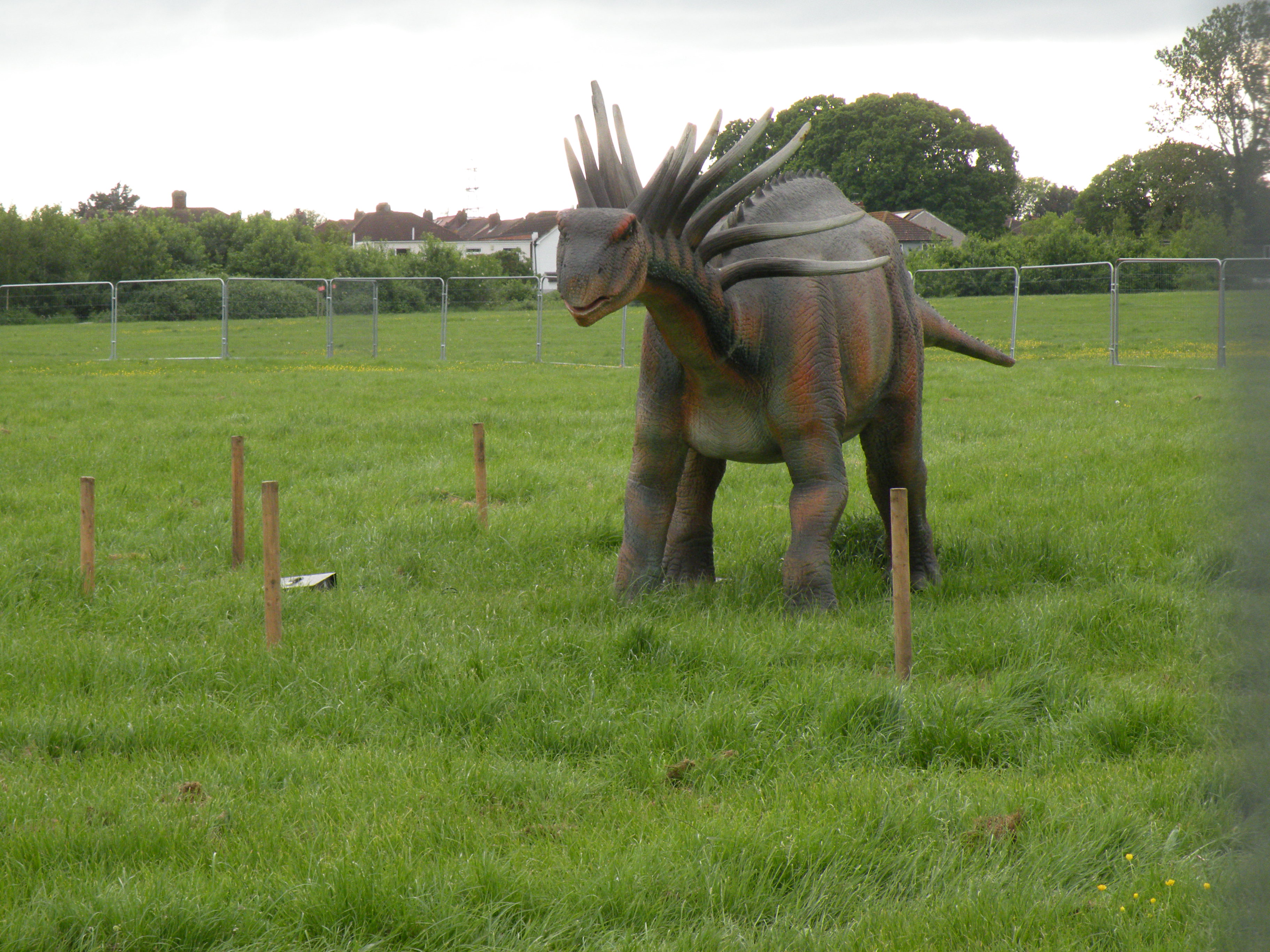 Jurassic Danson Park | Bexley parkrun