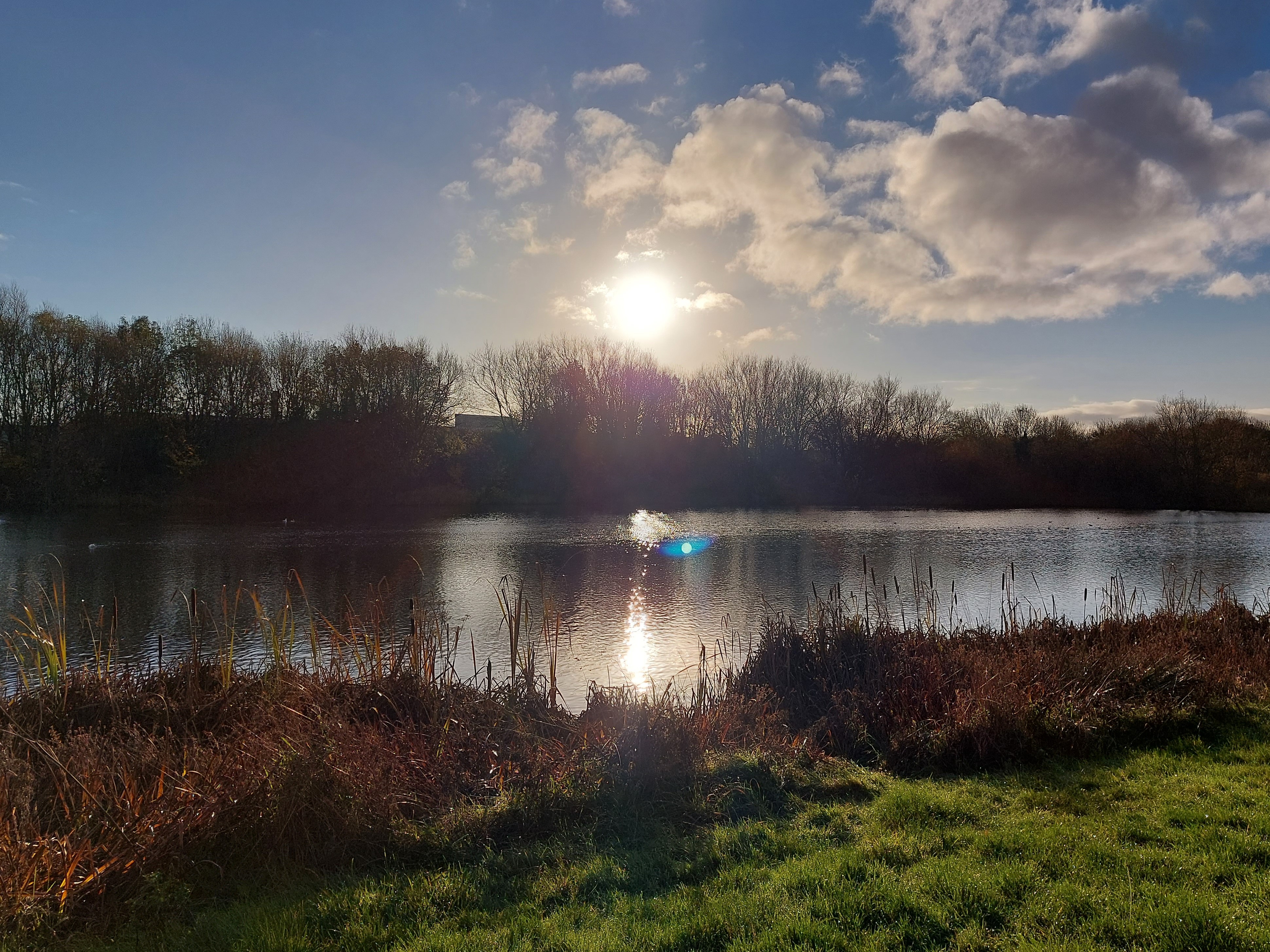 Dishley parkrun #149- A Big Birthday Bunch, with a milestone added in ...