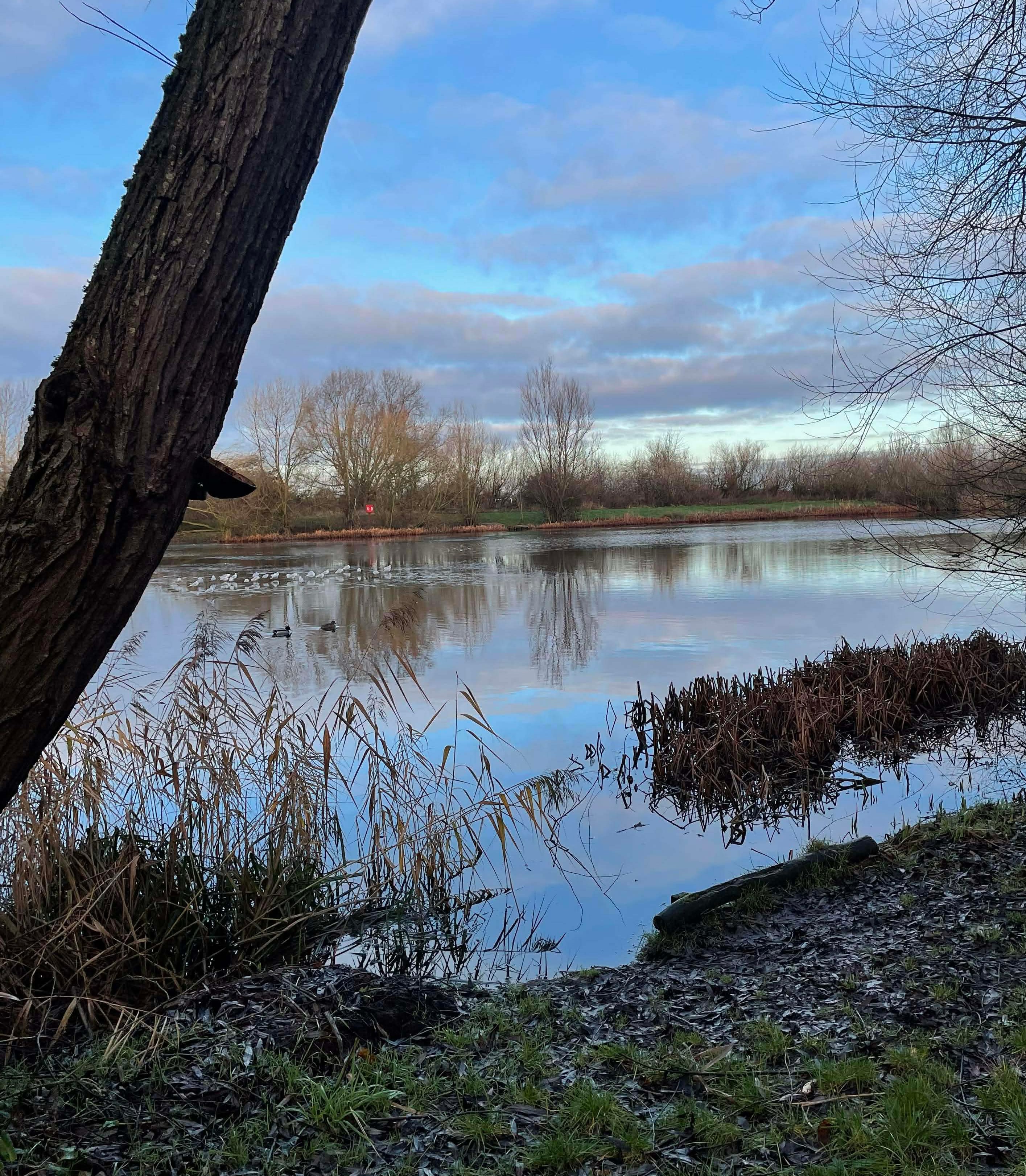 Dishley, Loughborough parkrun, Event number 297 | Dishley parkrun ...