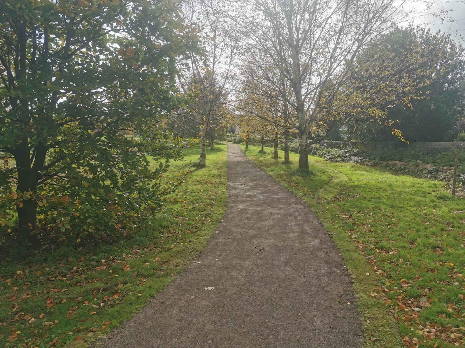 New perimeter path opens | Ford parkrun