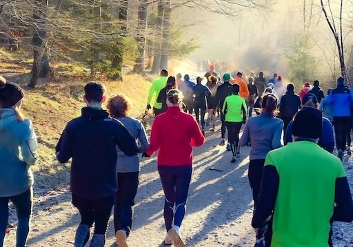 Wendover Woods parkrun #299 – Sam Taylor’s parkrun travelogue ...