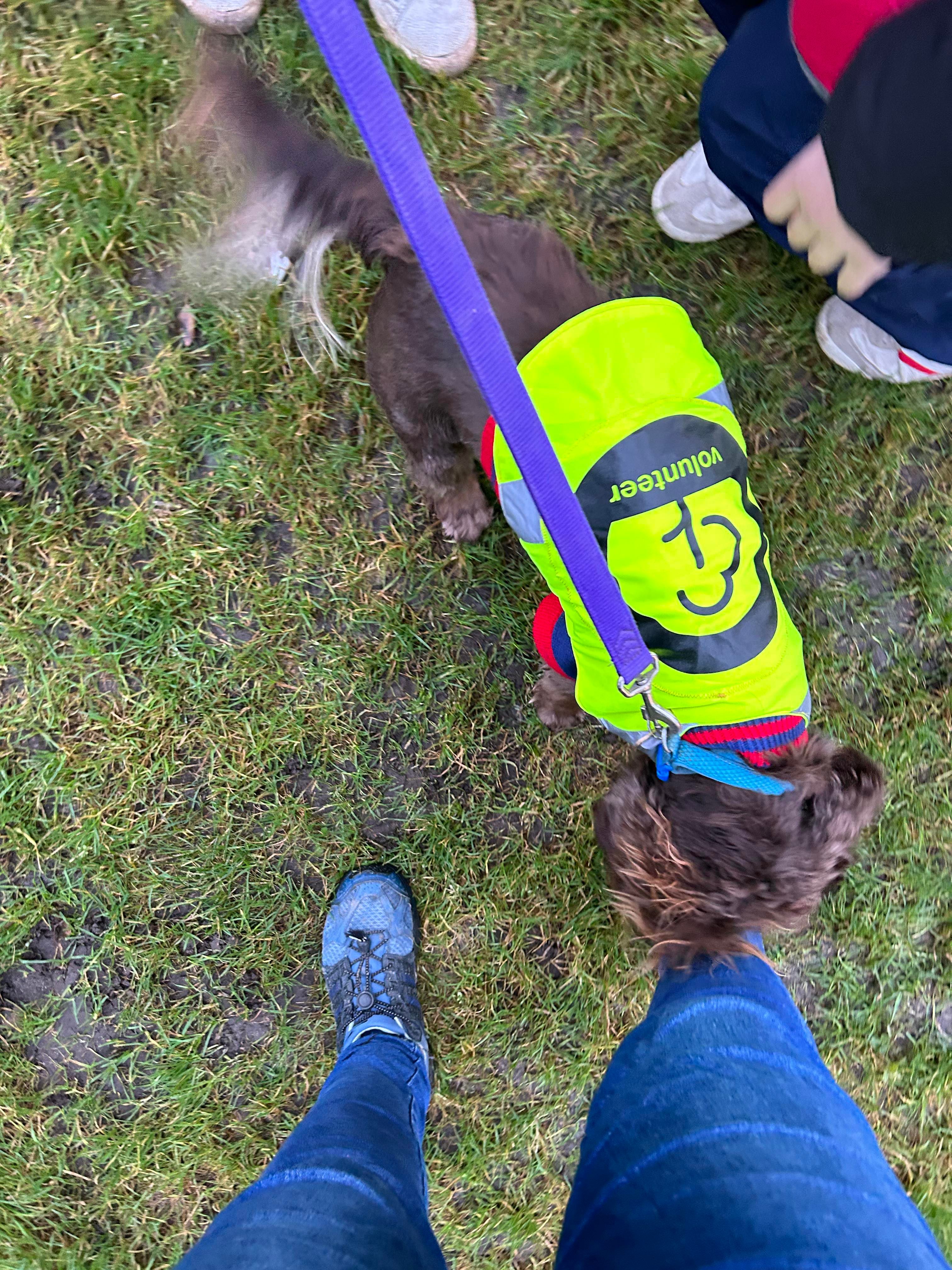 WADS parkun #158: Blowing a gale and running to a standstill! | Walmer ...