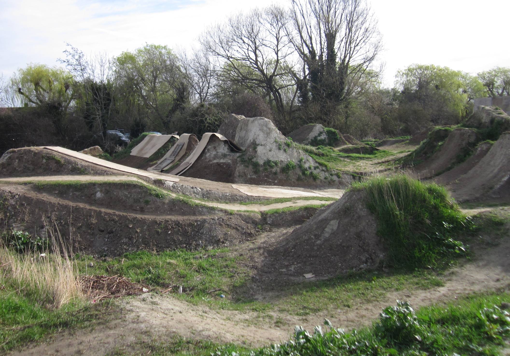 Coldham’s Common parkrun #24, 23rd March 2019 | Coldham’s Common parkrun
