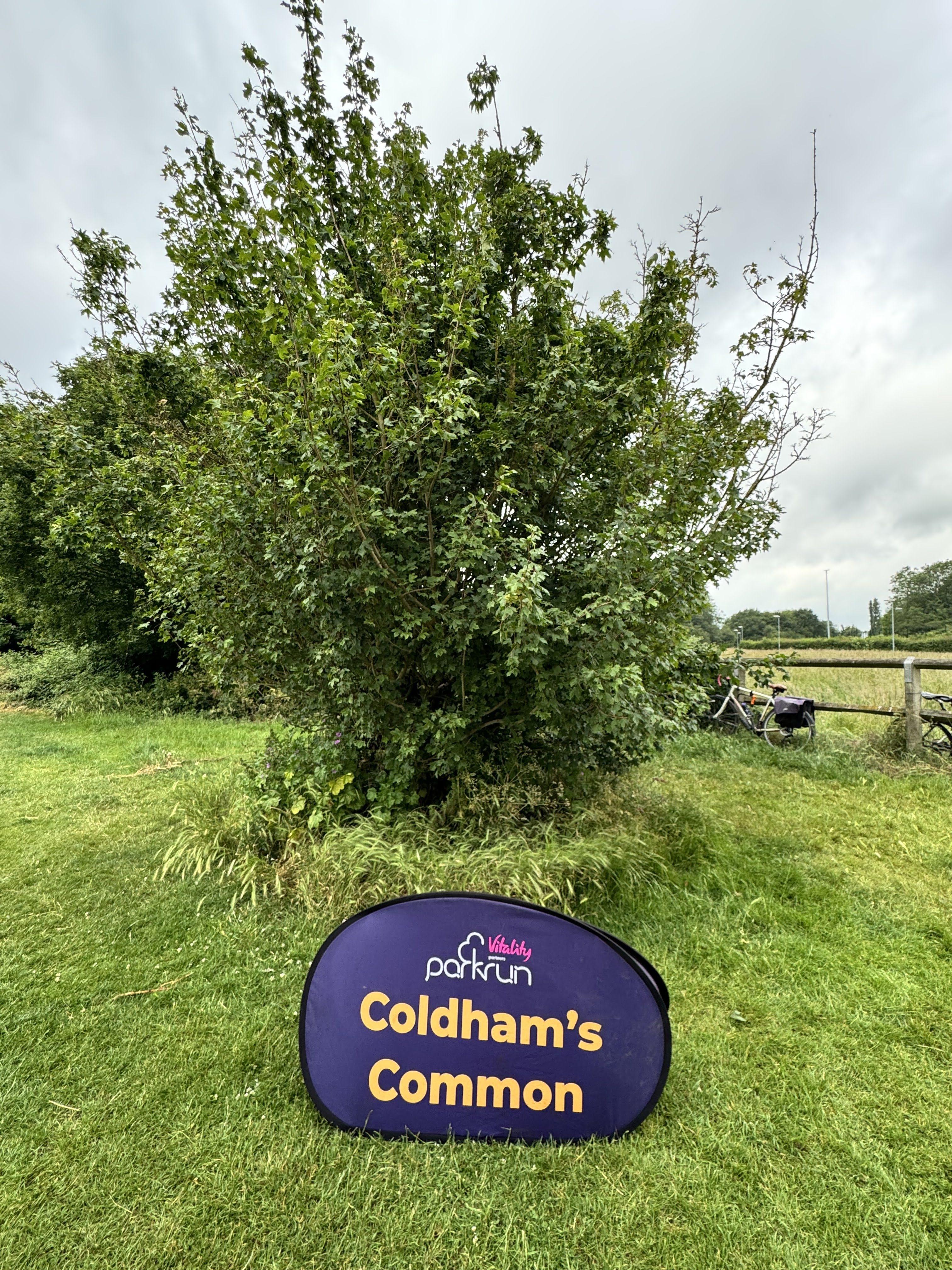 Run Report – 14th June 2025 | Coldham’s Common parkrun