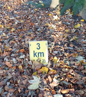Run report — 25 Nov 2023 — #665 | Woodbank parkrun
