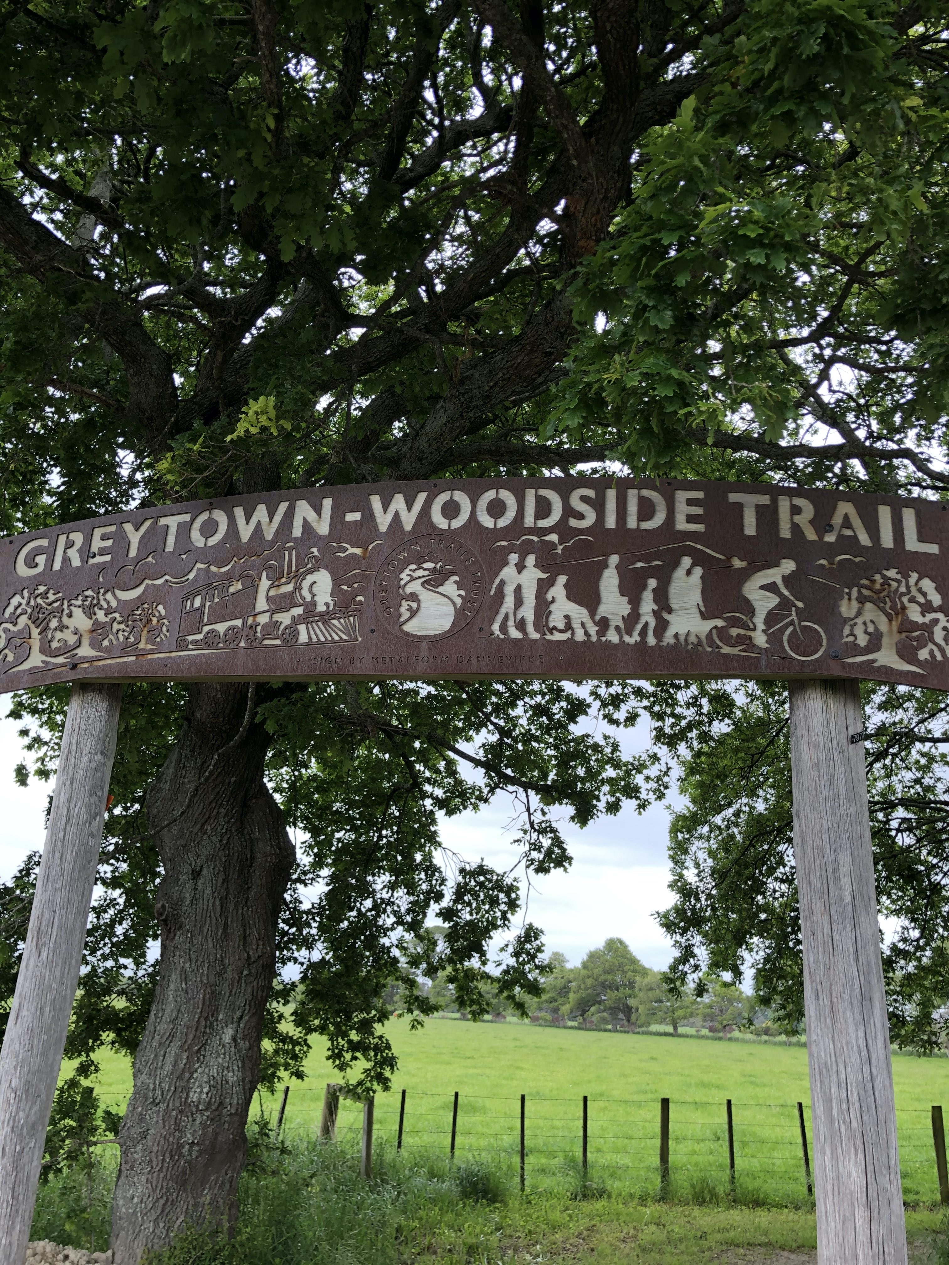 parkrun report #53 2 November 2019 | Greytown Woodside Trail parkrun