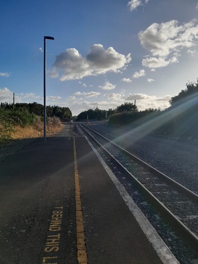 Event Report #240 | Greytown Woodside Trail parkrun