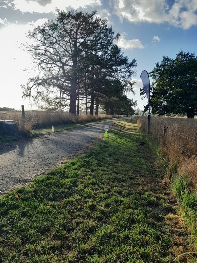 Event Report #240 | Greytown Woodside Trail parkrun