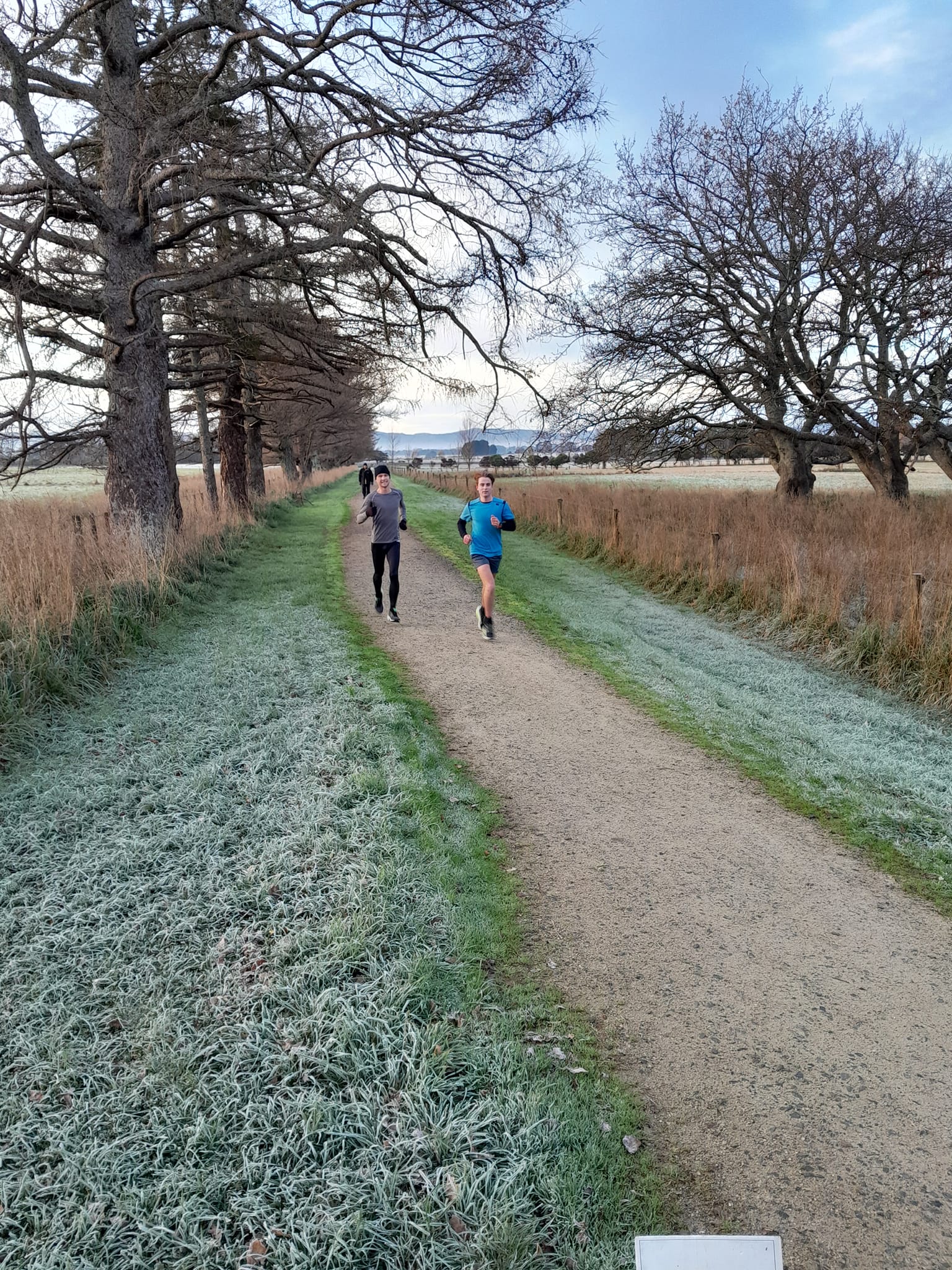 news | Greytown Woodside Trail parkrun