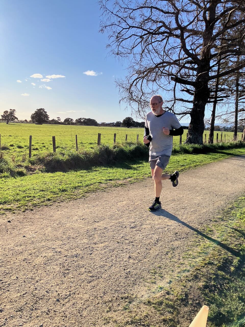 parkrun #324 Event Report | Greytown Woodside Trail parkrun